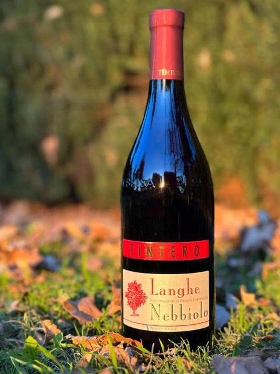 Elvio Tintero Langhe Nebbiolo – West Altadena Wine
